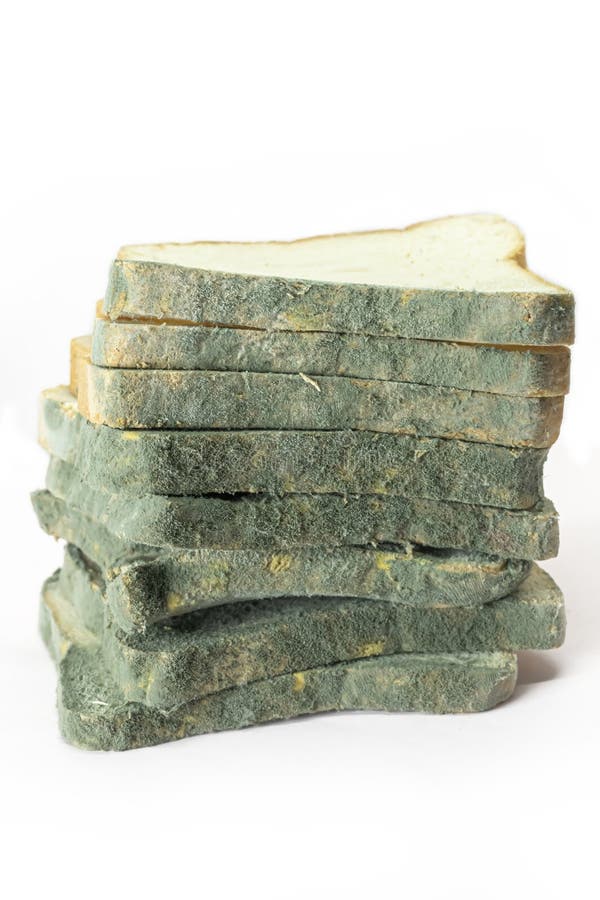 Food Waste Concept. Fungal Bread Isolated on White Background Stock ...