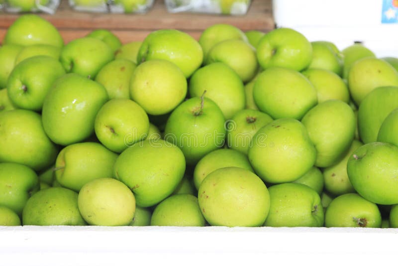 Green monkey apple stock photo. Image of asia, pure, agriculture - 55951468