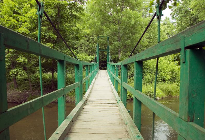 Green Monkey Bridge in the Forest Stock Photo - Image of architecture ...