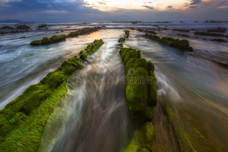 Green moos stock image. Image of decoration, lawn, ground - 11373971