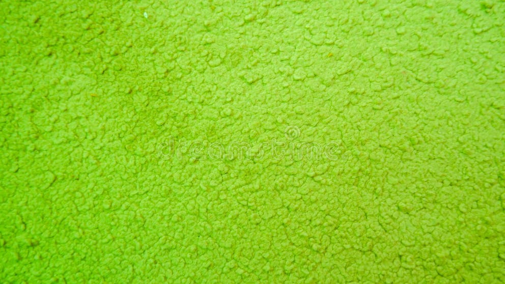 Mosque Green Carpet Texture Stock Photos - Free & Royalty-Free Stock ...