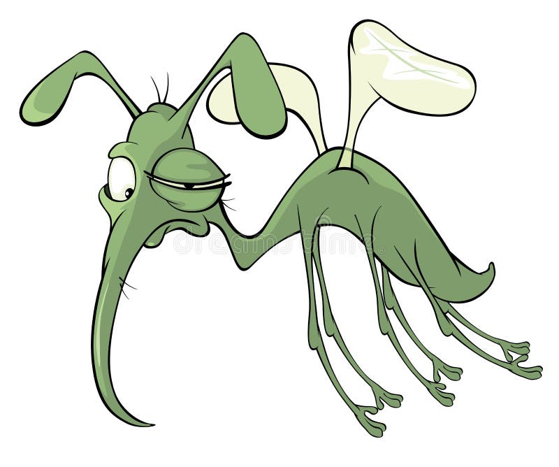 A Green Mosquito Insect Cartoon Stock Vector - Illustration of mosquito ...