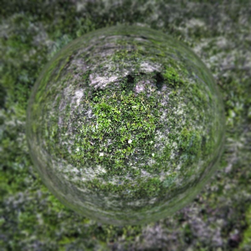 Green Moss Abstract Background Illustrations Stock Photo - Image of ...