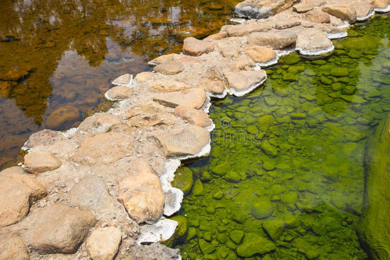 Green Moss or Algae in Hot Springs Stock Photo - Image of yellow ...