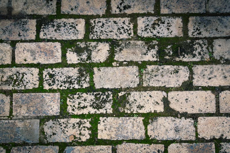 Green moss brick pavement stock image. Image of background - 87526033
