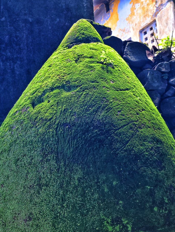 Green Moss on a Build Structure Stock Photo - Image of rock, flower ...