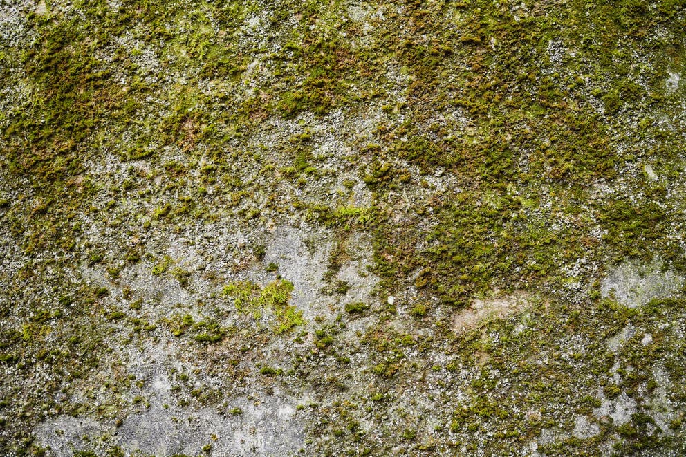 Green Moss Concrete Wall Texture Stock Image - Image of composite, sand ...