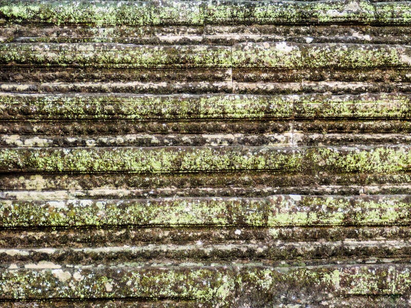 Green Moss and Creeper on Stone Wall Stock Image - Image of wall ...