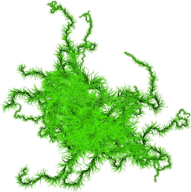 Green Moss Fiber Sprouts Filamentary Plexus Bundle Stock Illustration ...