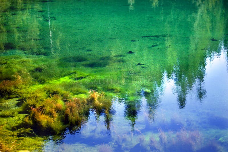 Green Moss Garden Underwater Gold Lake Abstract Stock Image - Image of ...