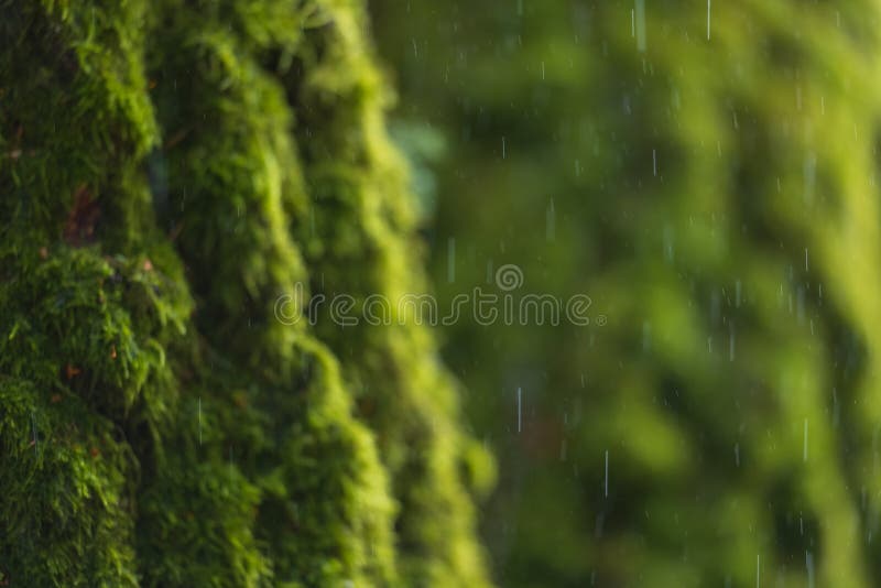 373 Rain Animation Stock Photos - Free & Royalty-Free Stock Photos from ...