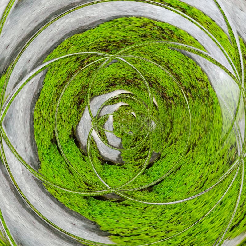 Green Moss on Rock Abstract Art Stock Illustration - Illustration of ...