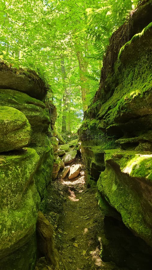 Green Moss on Rock Structure Stock Photo - Image of rock, stru: 261650528