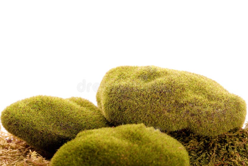 Mossy Rocks Waterfall stock photo. Image of nature, flow - 56935504