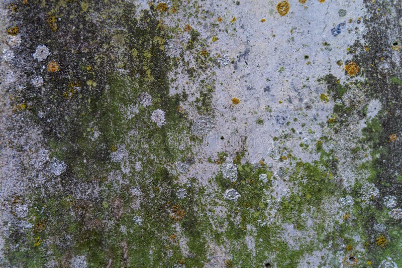 Green Moss and Rust on Metal Surface with Patterns and Cracks - High ...