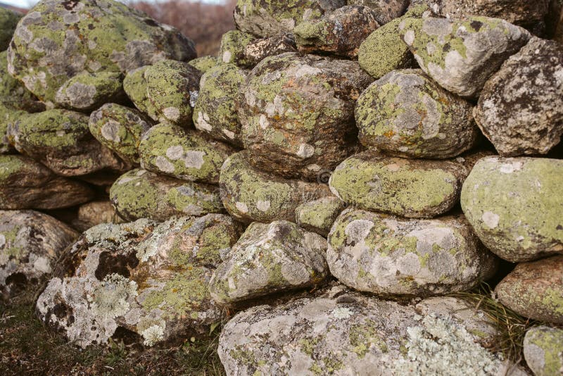 Green Moss on Stone Background and Texture. Old Stone Wall Covered with ...