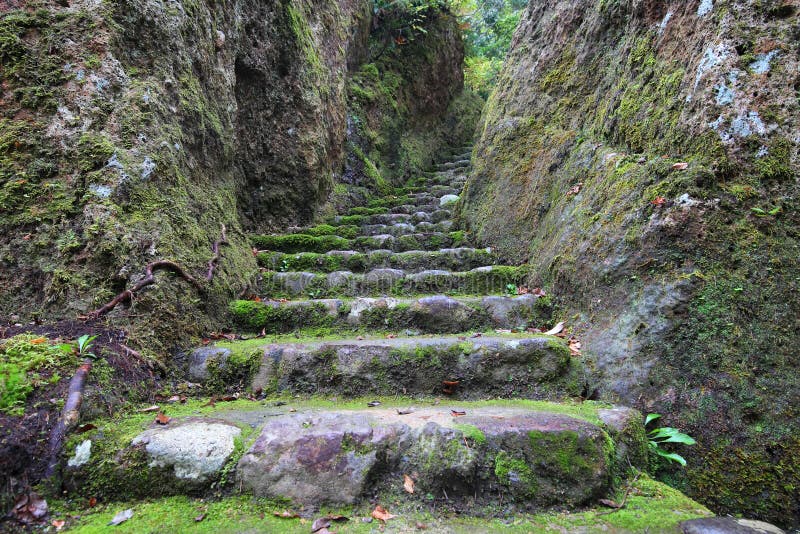 Green moss stone stairs stock image. Image of moss, scenery - 130926307