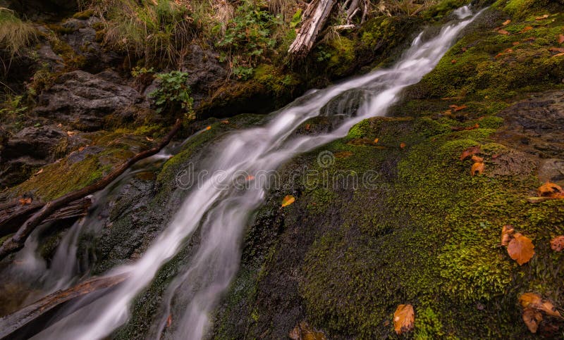 Green Mossy Rock Near On Waterfalls Picture. Image: 83064666