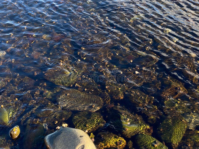 2,802 Underwater Rocks Texture Stock Photos - Free & Royalty-Free Stock ...