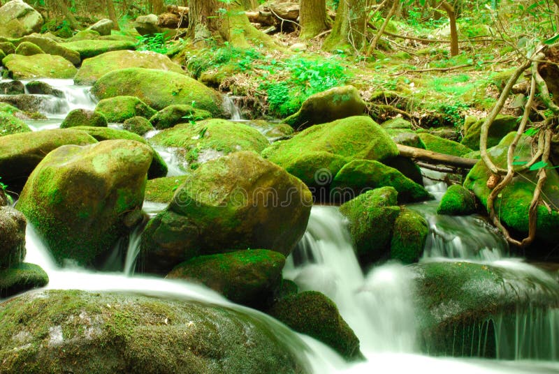 Green Mossy Rocks with Waterfall Stock Image - Image of refreshing ...