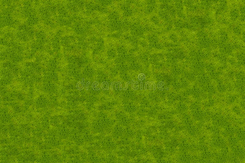 Mottled green backdrop stock image. Image of grunge, wrinkles - 12480035