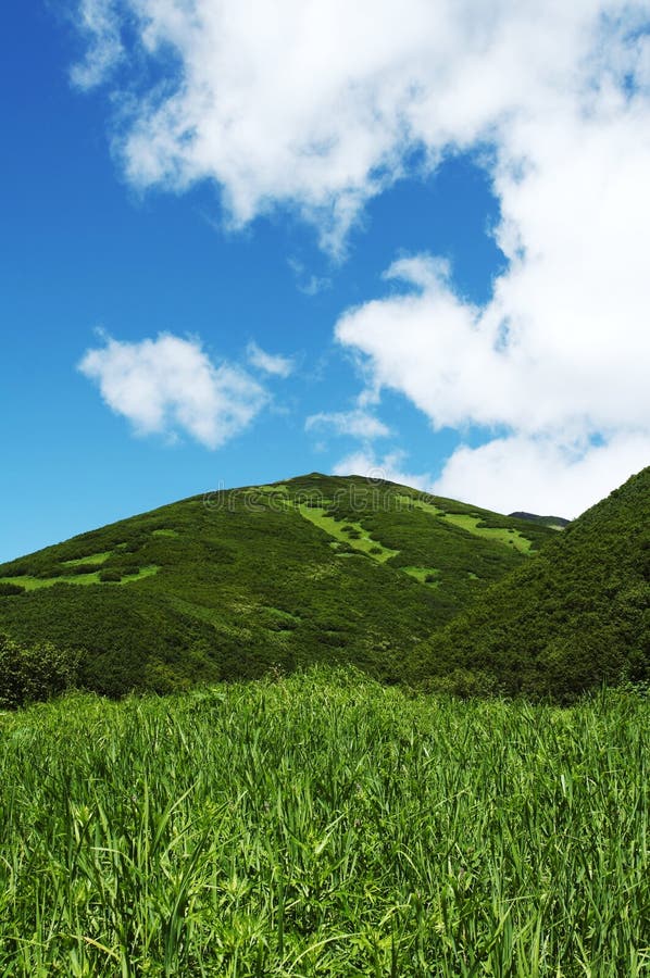 Green mountain stock photo. Image of flourish, beautiful - 2957582