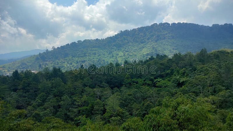 Green Mountain - Indo Nature Stock Photo - Image of forest, nature ...