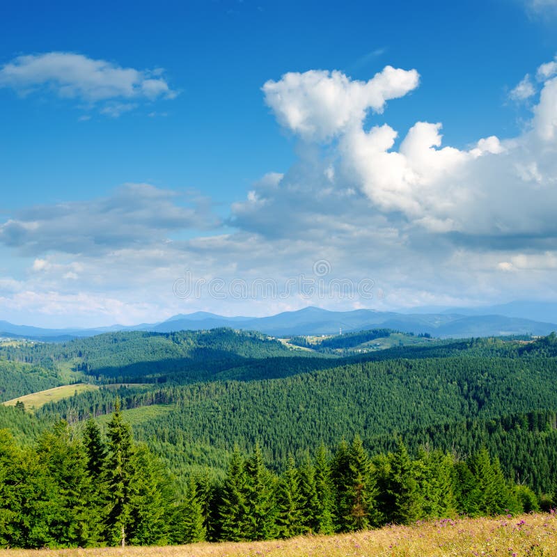 Green mountain landscape stock image. Image of mountain - 23588089
