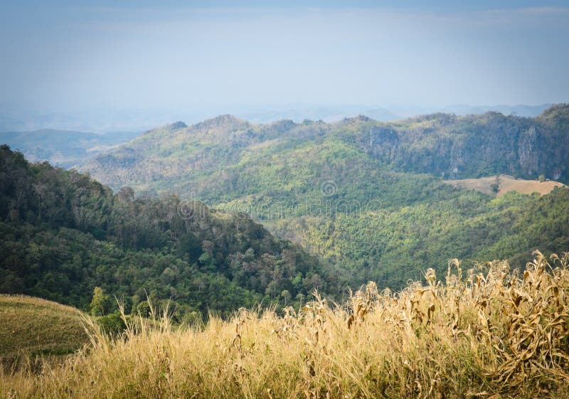 Green mountain landscape stock image. Image of summer - 29568417