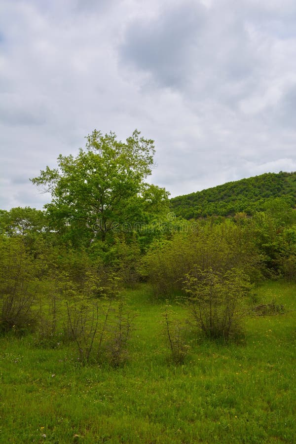 Green mountain landscape stock photo. Image of cloudly - 54362966