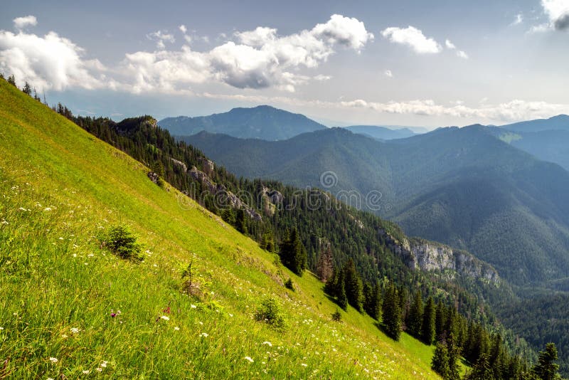 Green Mountain Meadow on the Hillside Stock Photo - Image of mountain ...