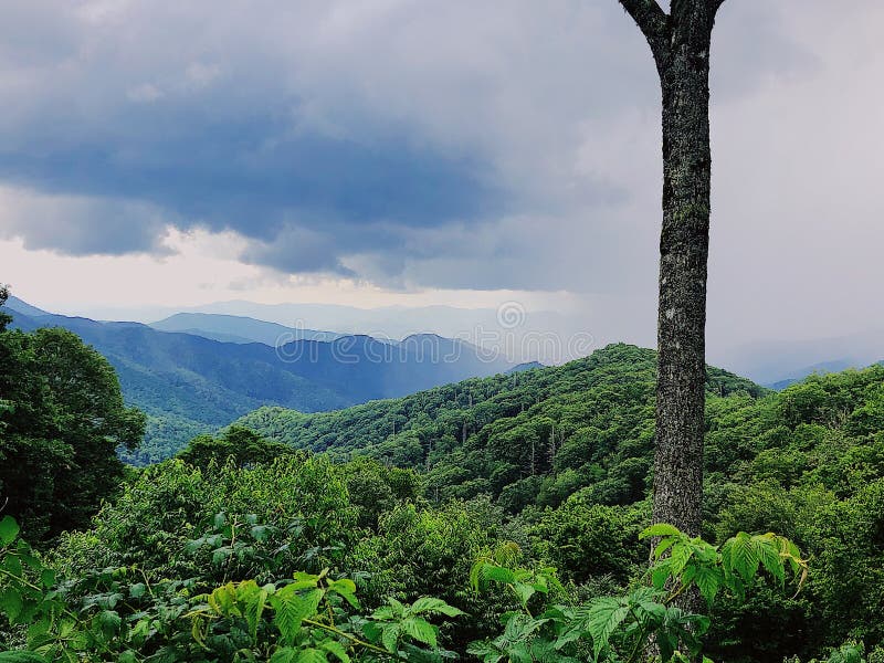 Green mountain stock photo. Image of plants, mountain - 157946452