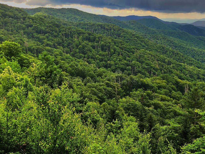 Green mountain stock image. Image of trees, covered - 157946459