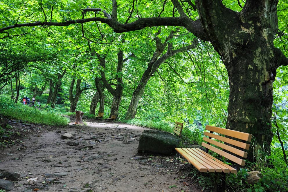 Green mountain path stock photo. Image of lonely, dirt - 28046718
