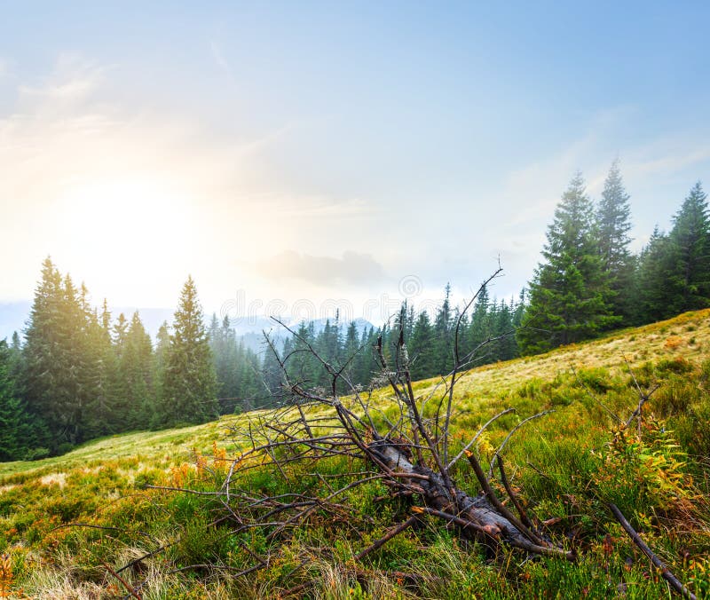 Green Mountain Slope Landscape Stock Image - Image of magnificent ...