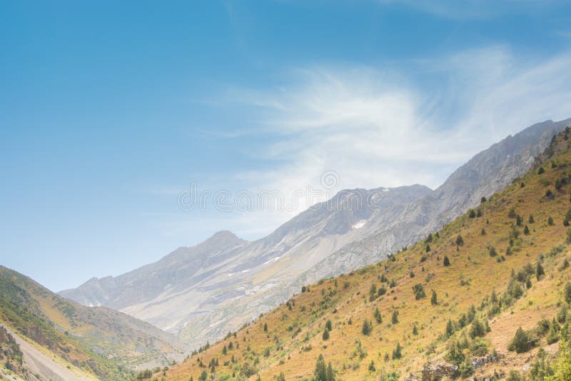 Green mountain slope stock image. Image of freedom, forest - 98333601