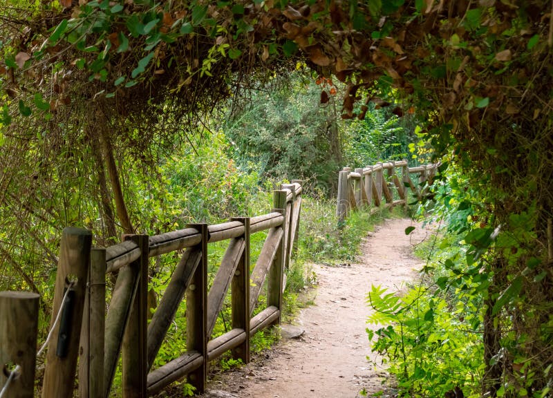 Green Mountain Trail with Bushes Stock Photo - Image of tiempo, trail ...