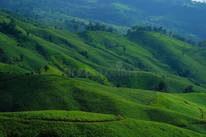 Green mountainous view stock photo. Image of countryside - 39888428