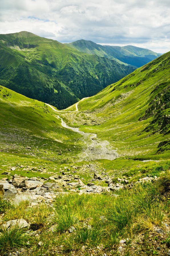 Green mountains stock photo. Image of nature, green, tree - 23185918