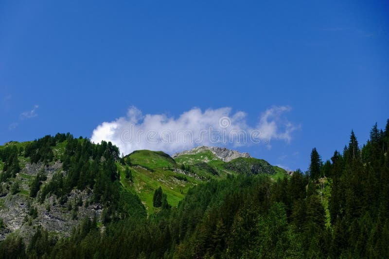 Green Mountains with Many Trees and Beautiful Weather Stock Image ...