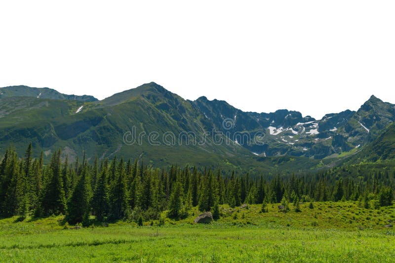 Green Mountains in Summer Isolated on White Background Stock Image ...