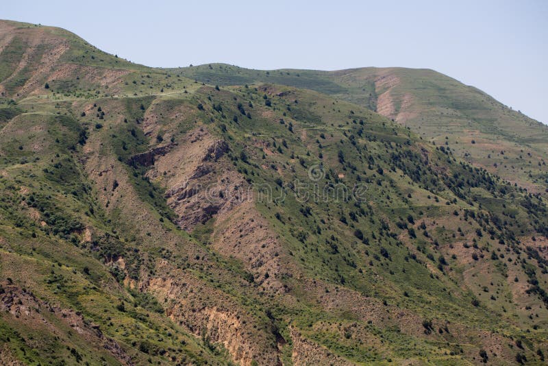Green Mountains with Vegetation in Summer Daytime Stock Image - Image ...