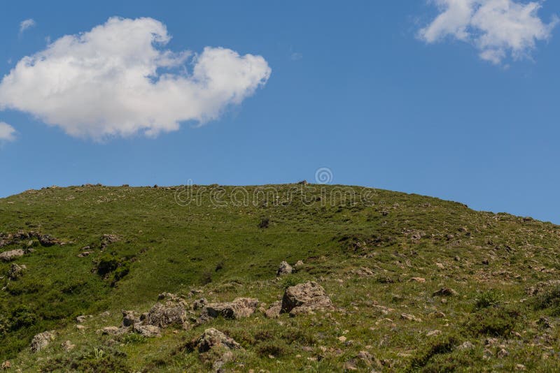 Green Mountains with Vegetation in Summer Daytime Stock Photo - Image ...