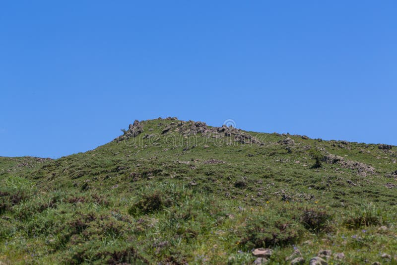 Green Mountains with Vegetation in Summer Daytime Stock Image - Image ...