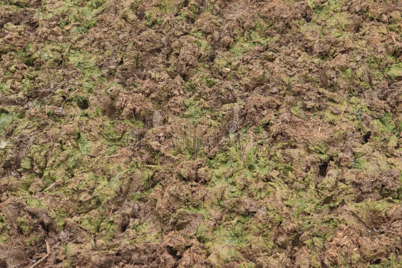 565 Goo Texture Stock Photos - Free & Royalty-Free Stock Photos from ...