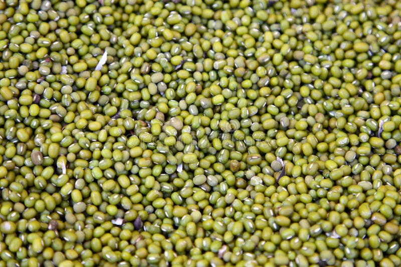 Green mung beans stock photo. Image of pattern, grain - 22328906