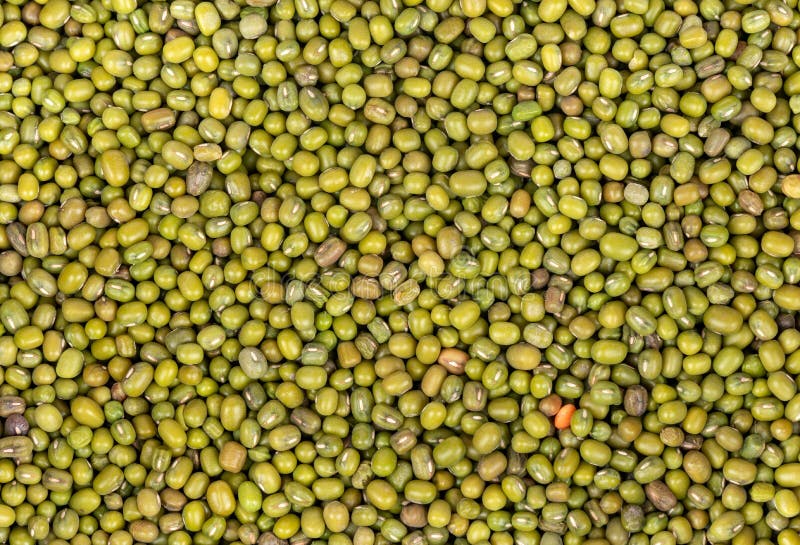 Green mung grains stock photo. Image of healthy, nature - 146201206