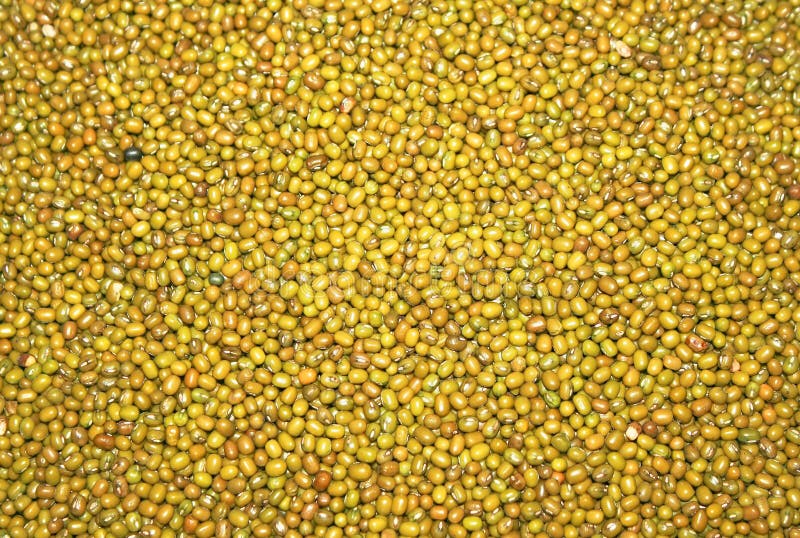 Green Mungo Beans As Texture Stock Image - Image of nature, closeup ...
