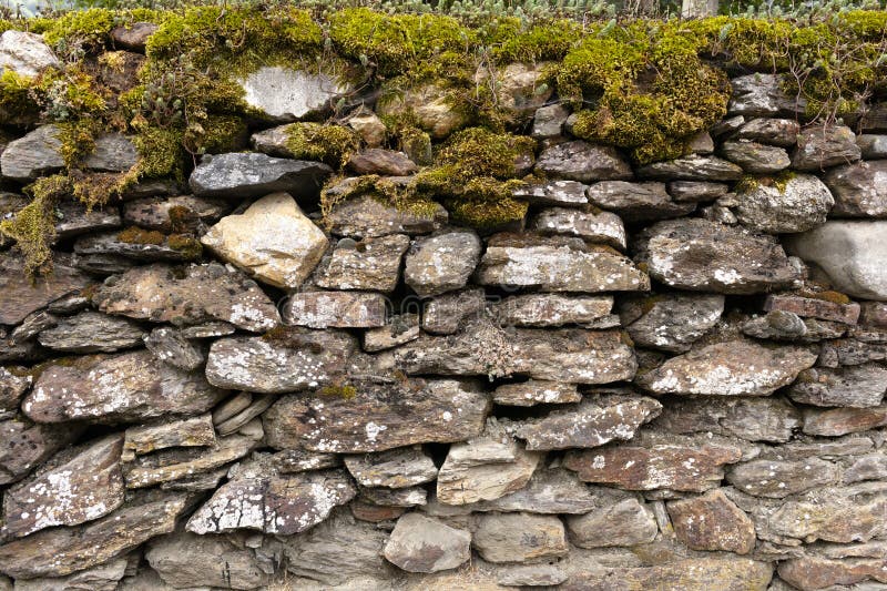 Green musk on stone fence stock photo. Image of musk - 349020304