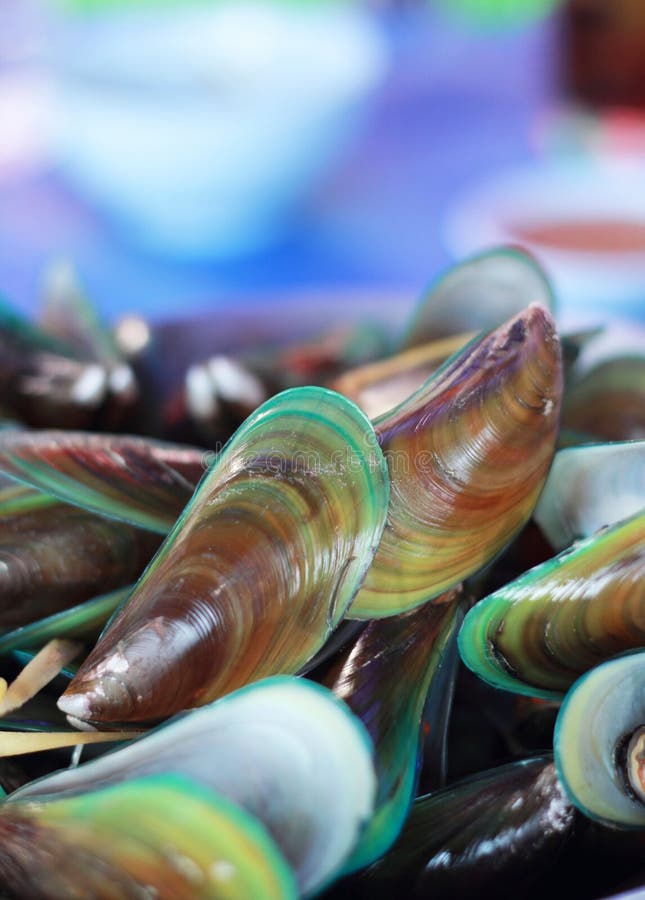 Green Mussel Baked in a Pot Stock Photo - Image of cuisine, mussel ...